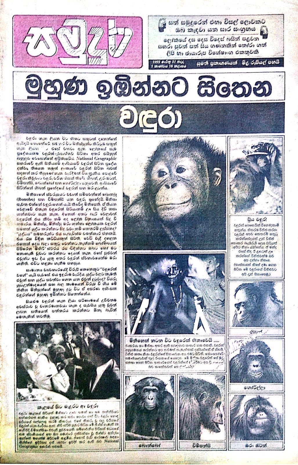 to the golden age along the old publications.....: Samudura paper -1993