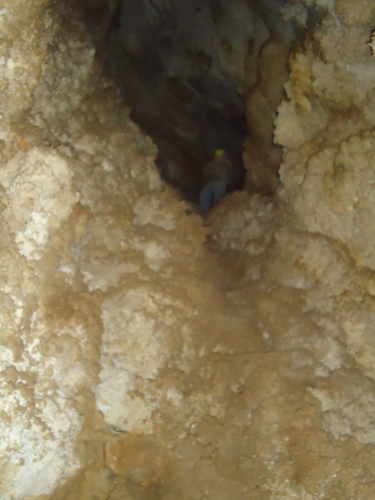 Utah Mountain Climbing: Goshute Cave - Going In