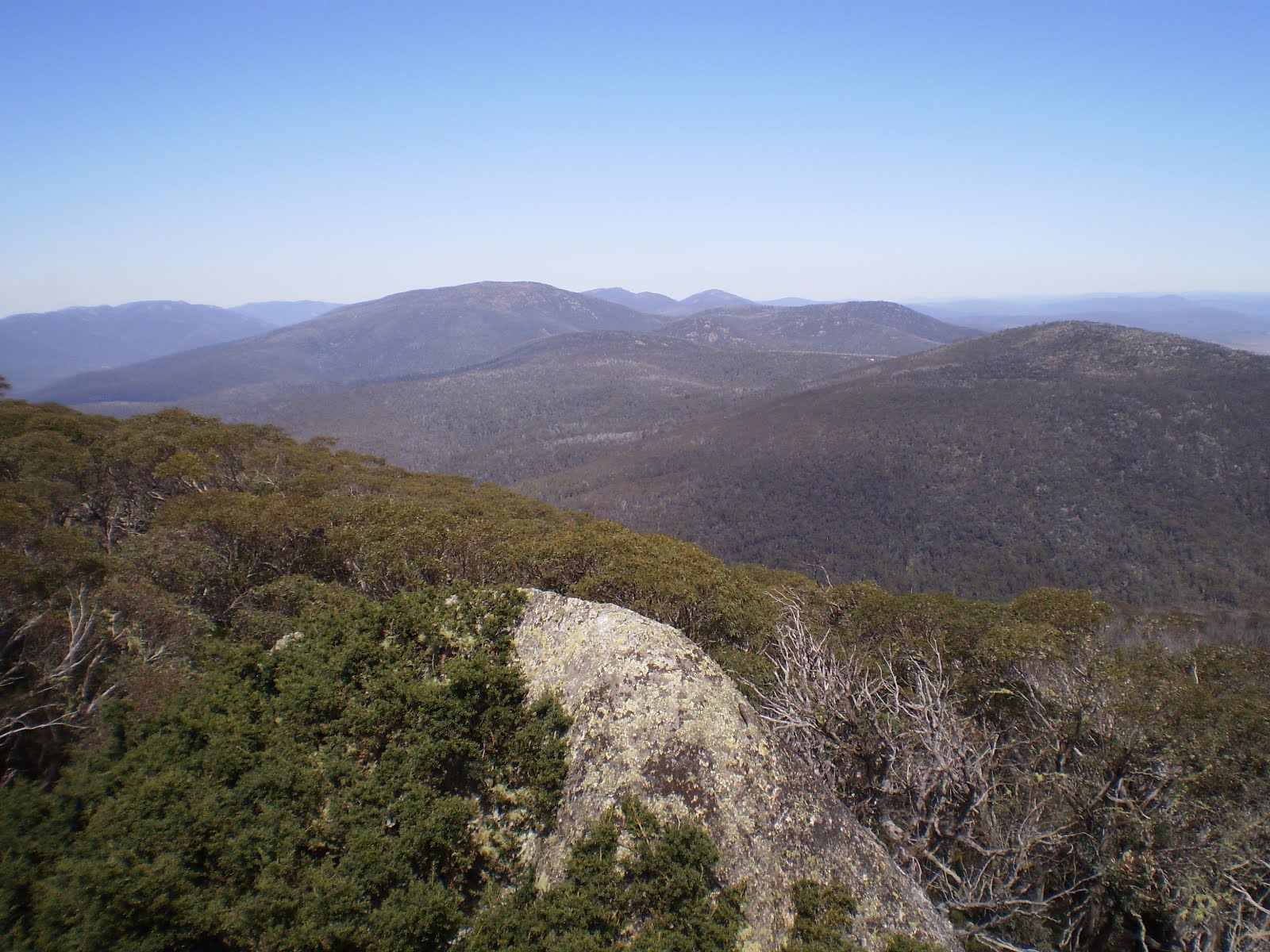 Phil's Bushwalking Blog: Namadgi National Park: Mount Gingera and ...