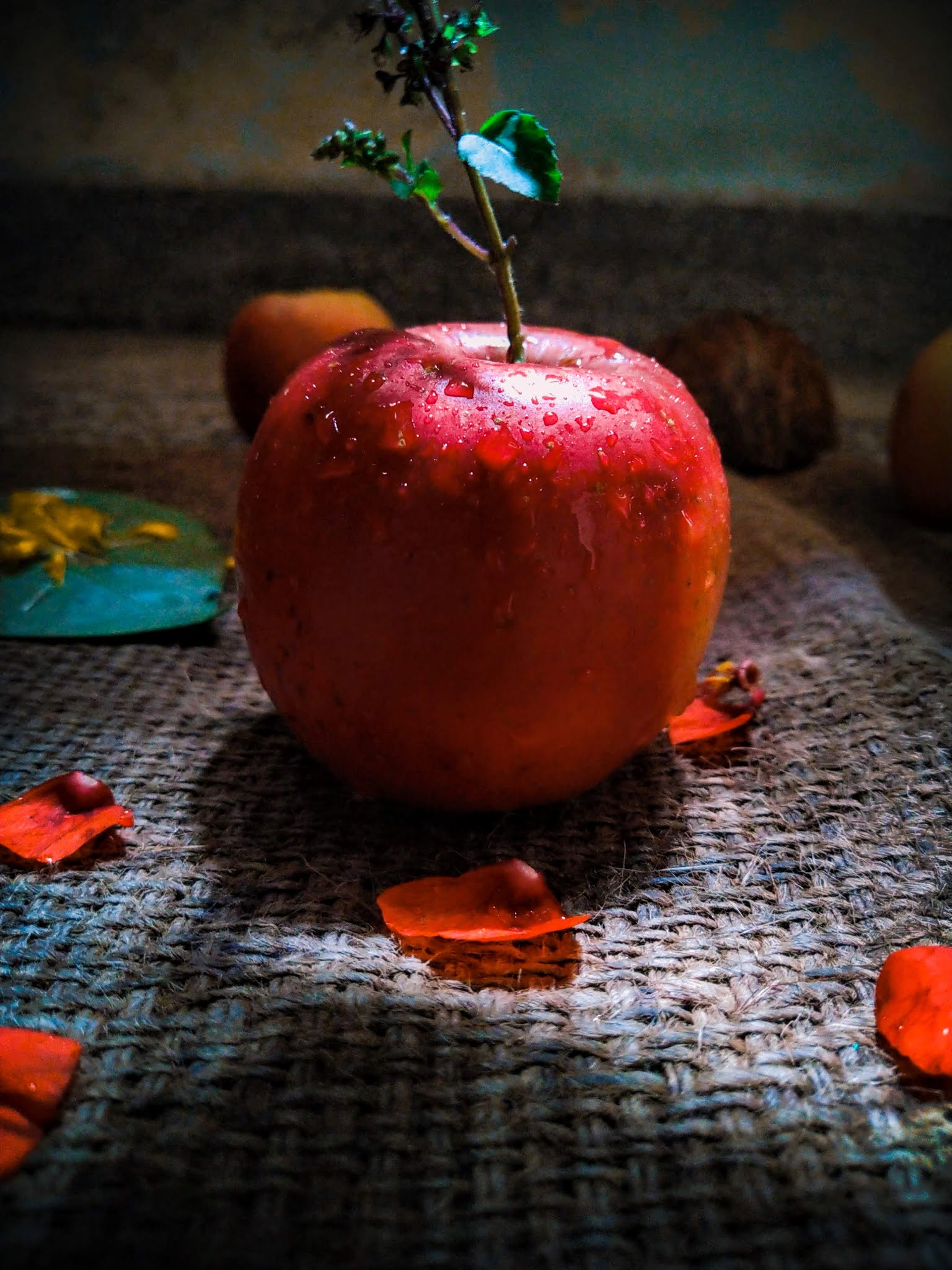 Creative Fruit Photography Ideas