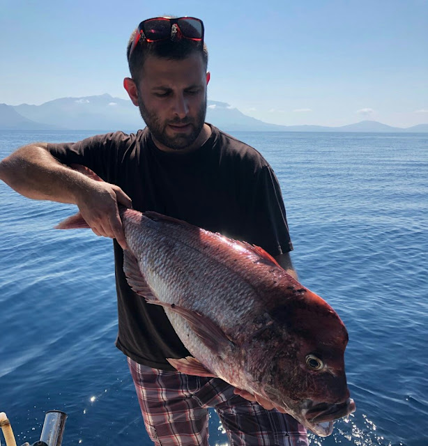 Lures Way: Krunaš (Dentex gibbosus)