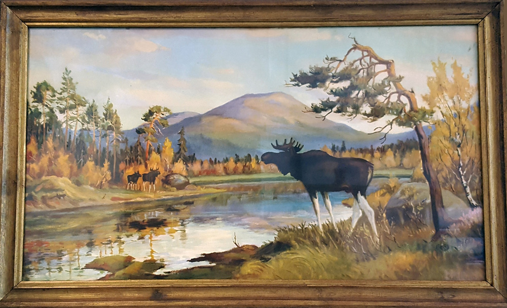 KK (kvinner&kultur): ELG I SOLNEDGANG OG ANDRE HERLIGHETER