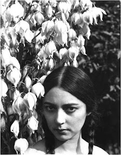 Mis Publicaciones Recientes: Rosa Rolanda una flor muy especial en la ...