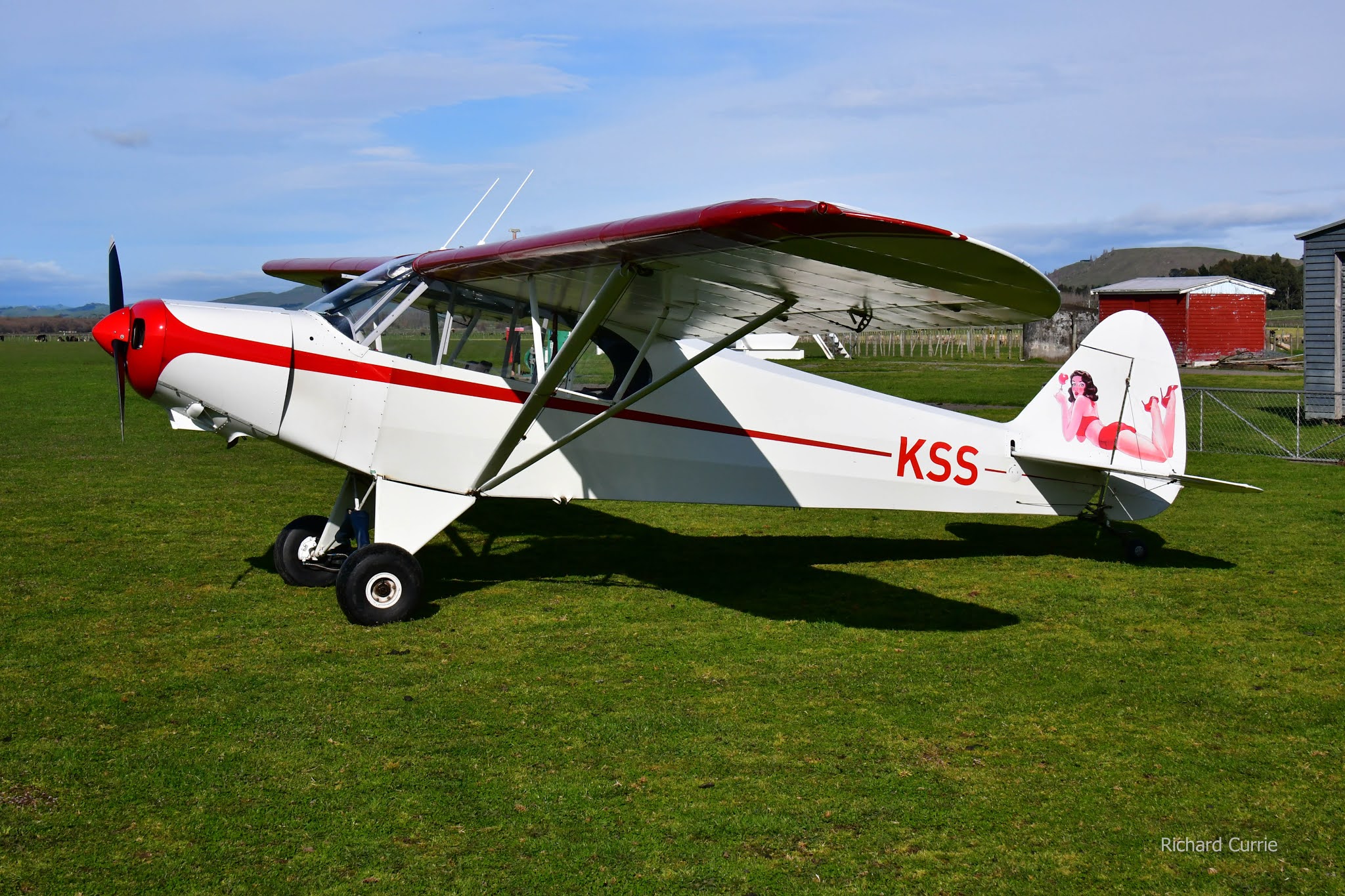NZ Civil Aircraft: Tail dragger fly in Waipukurau