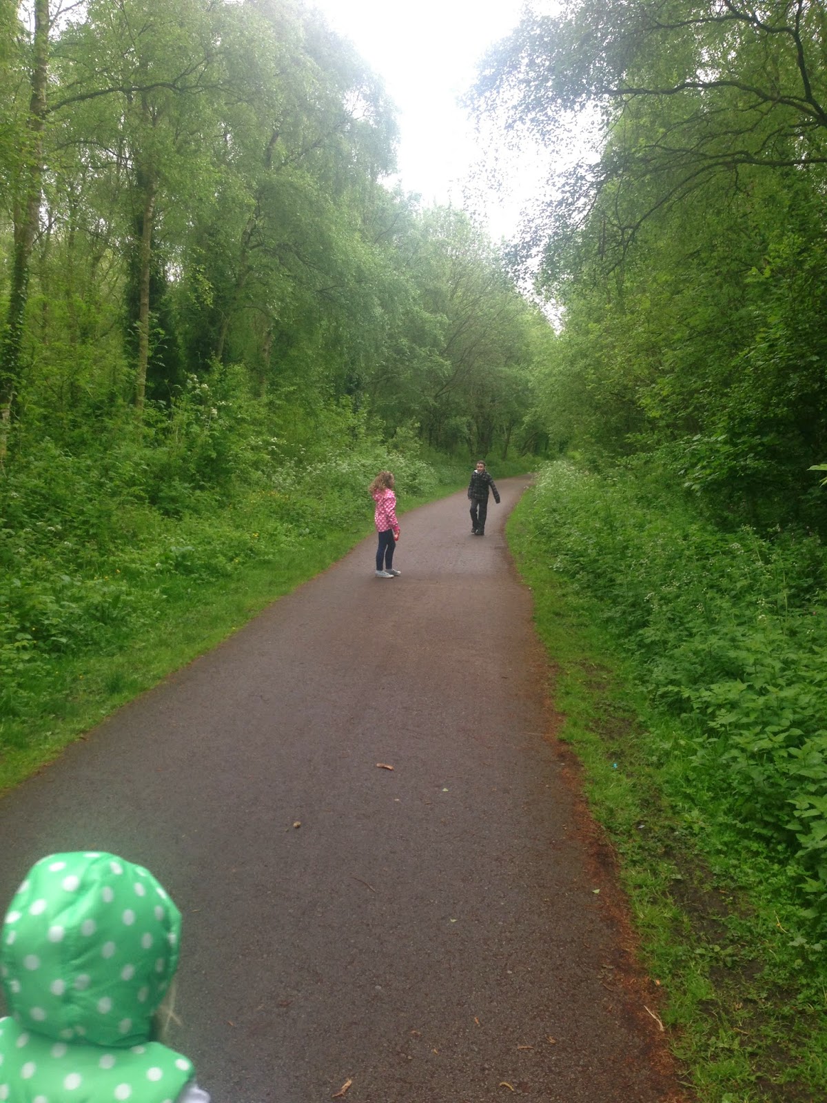Halewood Arts Association: Junior Artists explore Halewood Park