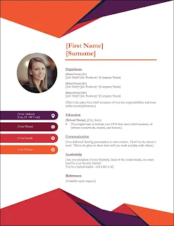 Graphical CV Format - PDF - DOC