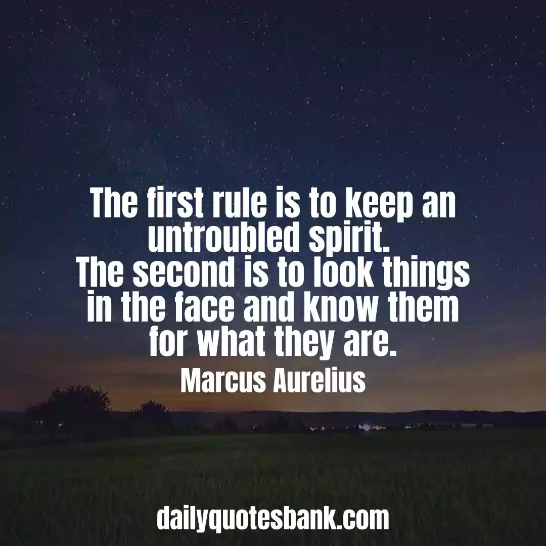 117 Stoic Quotes Of The Day That Will Boost Your Strength