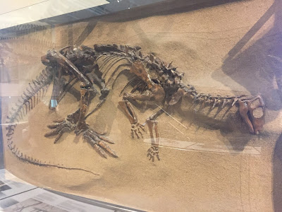 Prehistoric Beast of the Week: Thescelosaurus: Beast of the Week