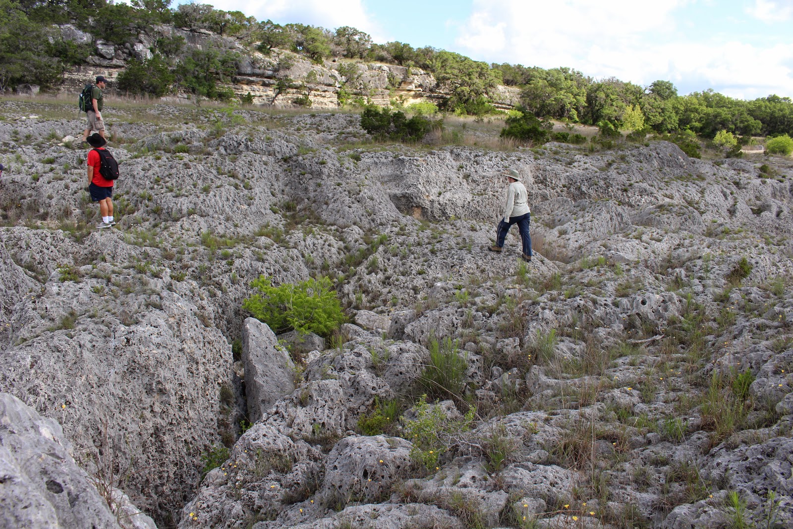 Finding Fossils...: Fossil Reefs around Austin