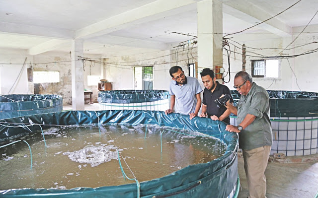 Biofloc Farm: Modern biofloc fish farming technologies shaping the ...