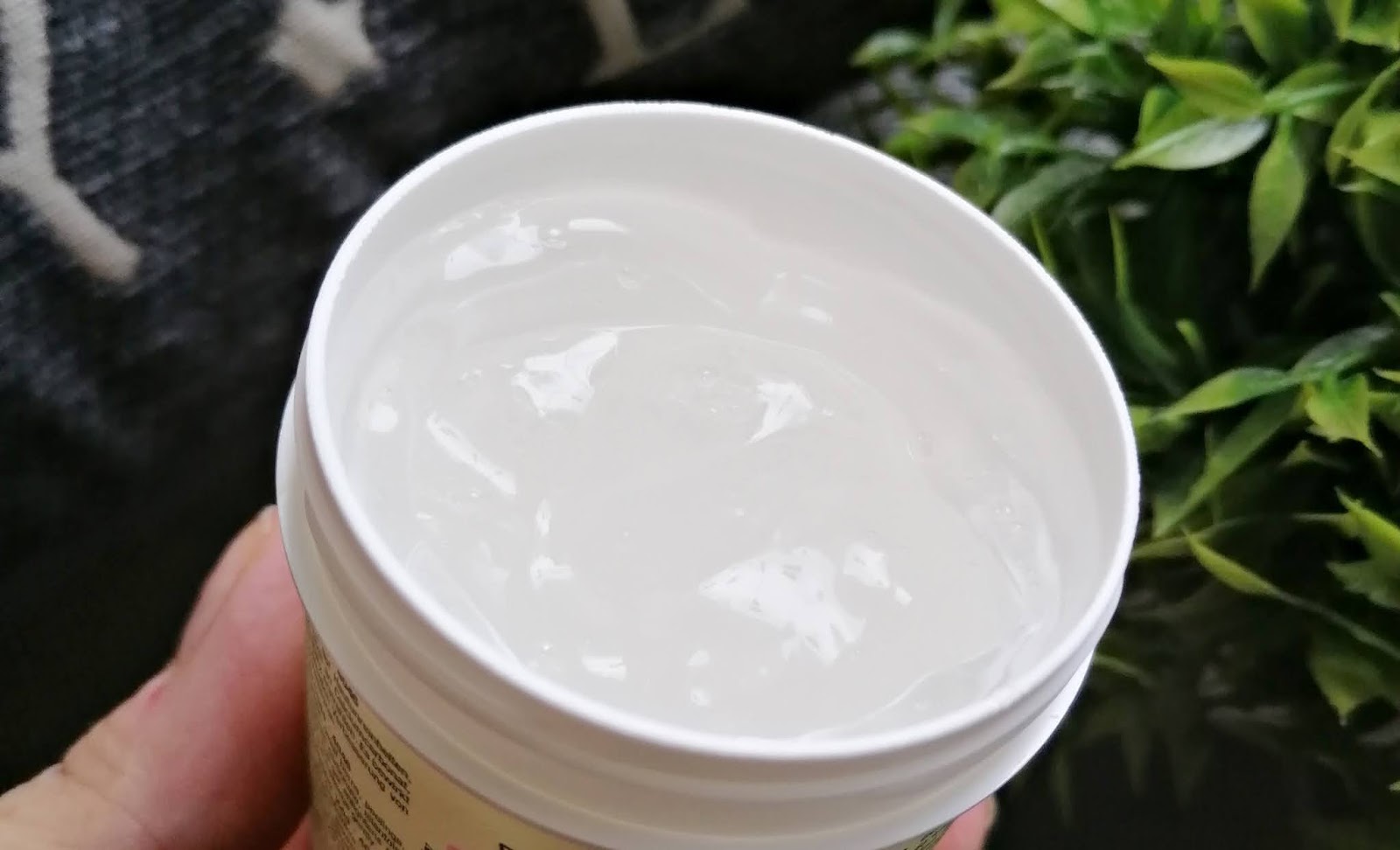 Coltul Cameliei: 4 propuneri de vara de la Life Care