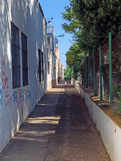 PARQUE MUNICIPAL DE MONTIJO: 3. PARQUE MUNICIAL DE MONTIJO. ACCESOS (3).