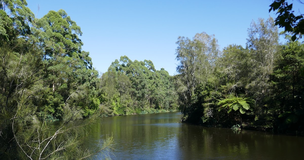 All The Gear But No Idea: Lane Cove River - The Riverside Walk & Great ...
