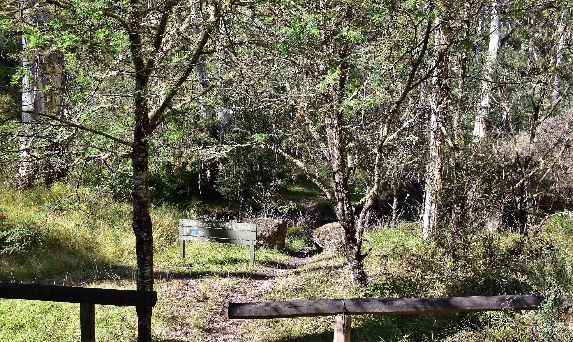 Goin' Feral One Day At A Time: Upper Howqua Carpark to Stanley Name ...