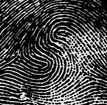 CRIMINALISTICA PANAMA: MODULO 1 IDENTIFICACIÓN Y CLASIFICACIÓN DE ...