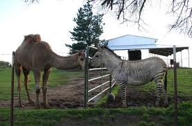 Linda Grimes: Visiting Reality : NO! You MUSTN'T!! Oh, what the heck...