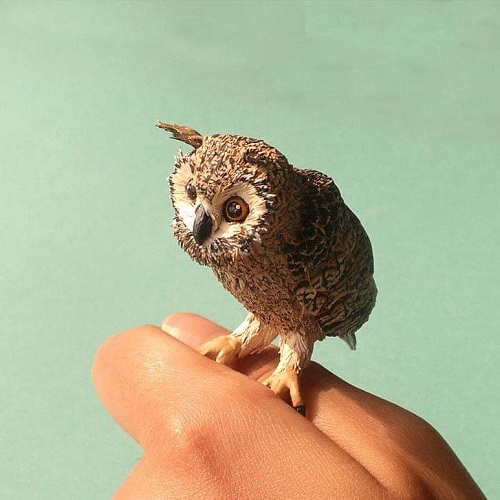 My Owl Barn: Wildlife Artist and a Conservationist Niharika Rajput