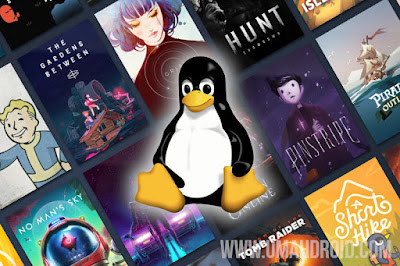 Cara Memainkan Game Windows di Linux via Steam Play (Proton) - Umahdroid