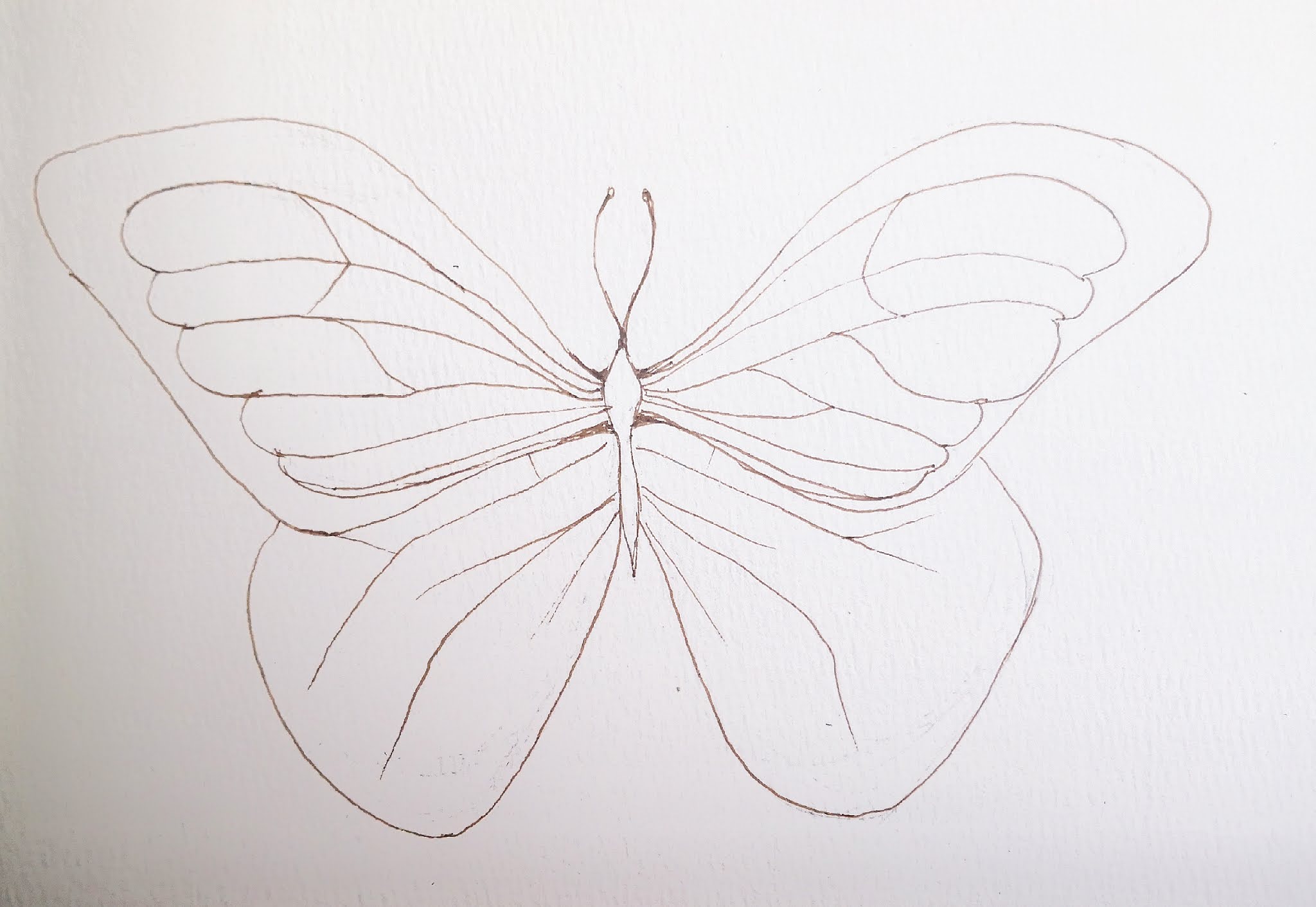 How to draw Watercolor butterfly step by step tutorial easy