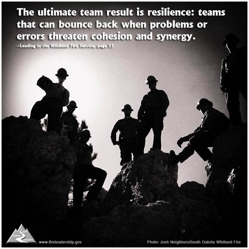 Wildland Fire Leadership: IGNITE: The Power of the Resilient Team