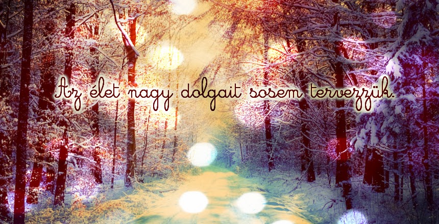 #1 Borítóképek - Borítóképek