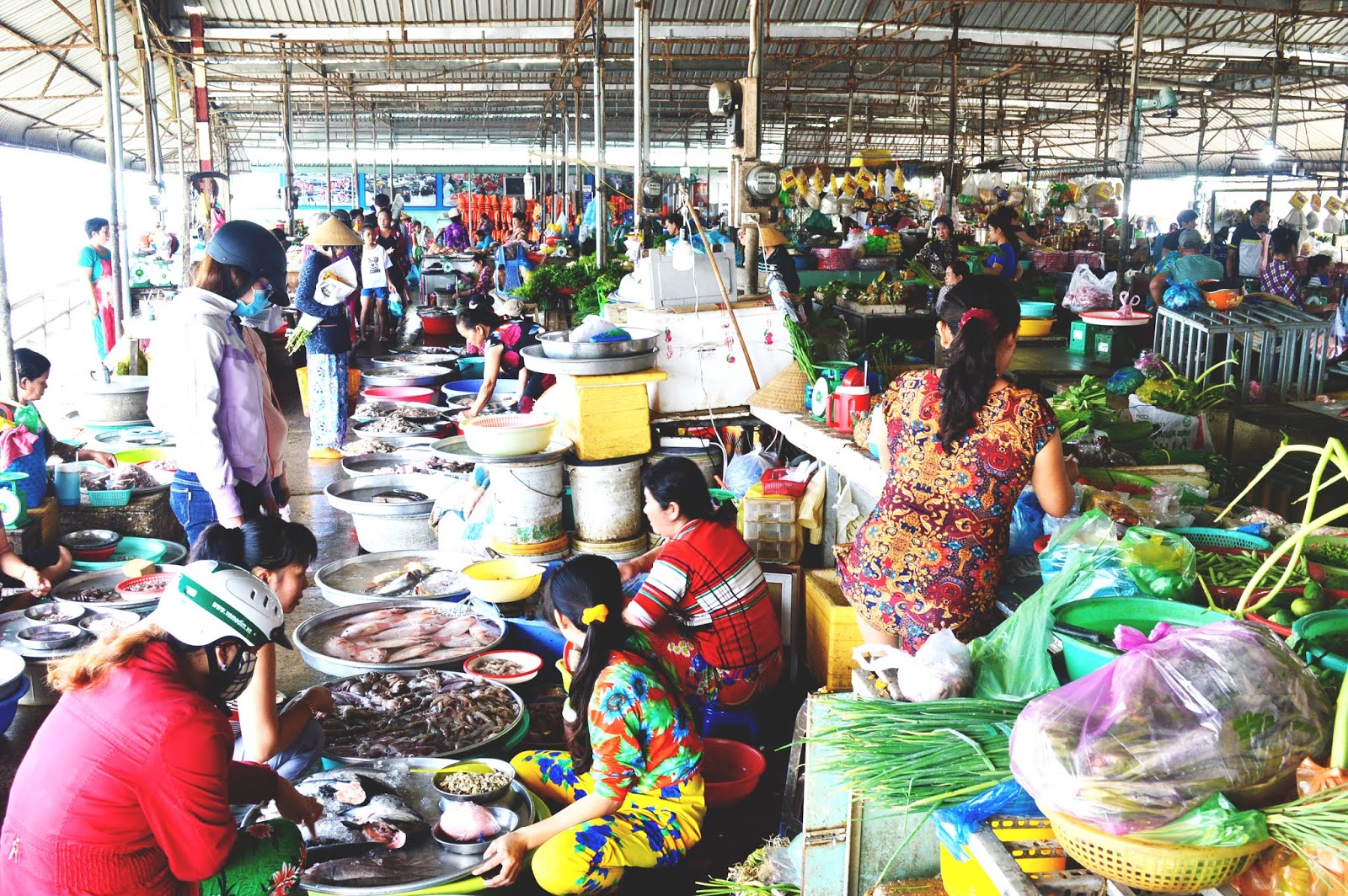 Blending In - Vietnam