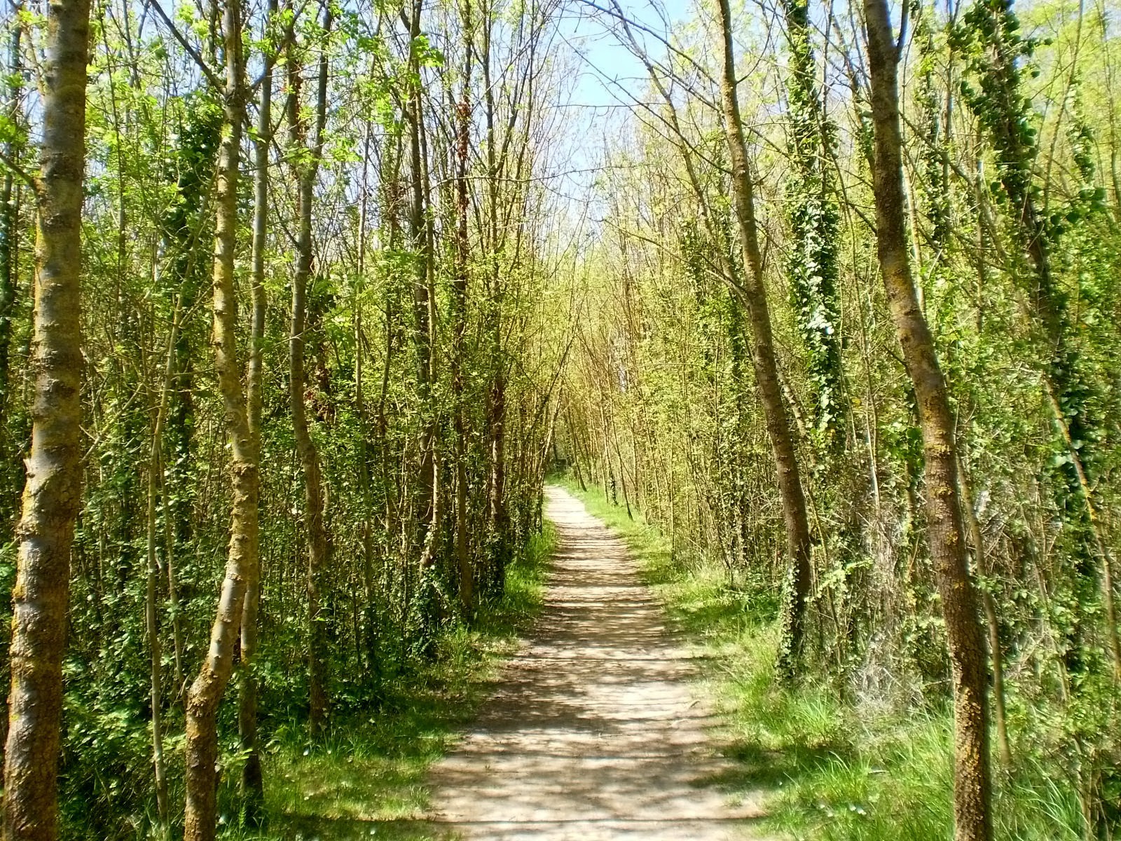 NATURA VIVA: L'ESTANY DE BANYOLES