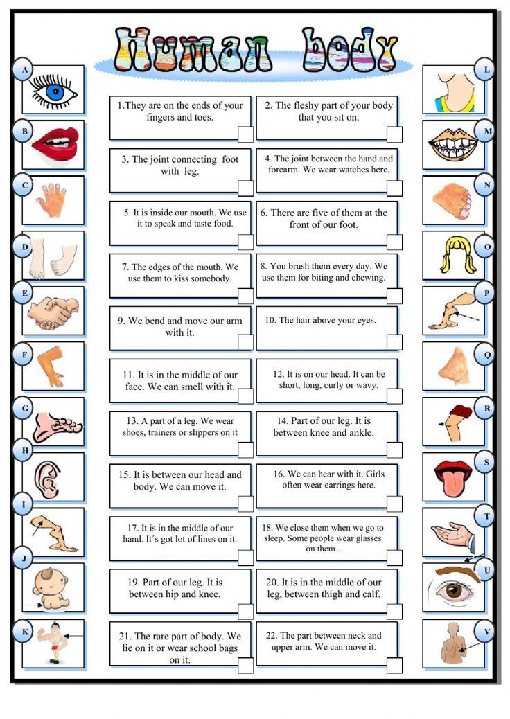 Meeting 15 Quiz For Grade 4 guessing Part Of Body Grade 5 guessing meeting-15-quiz-for-grade-4-guessing-part-of-body-grade-5-guessing