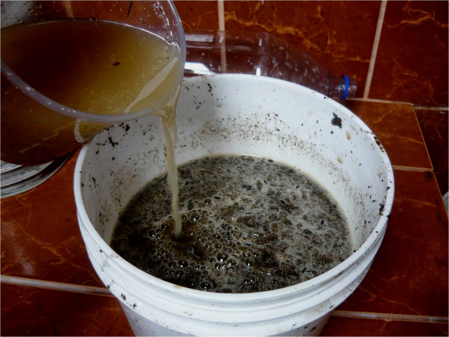 ALTERNATIVA ECOLÓGICA: ELABORACIÓN DE BIOL CASERO