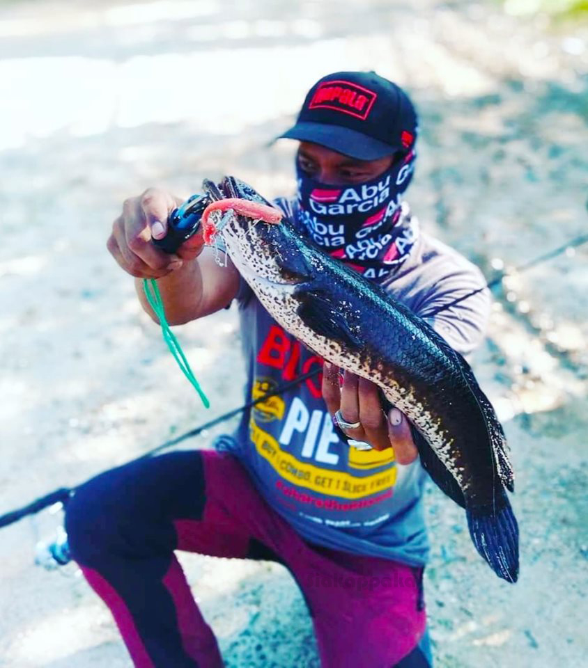 Ruan/Haruan | Siakappaka