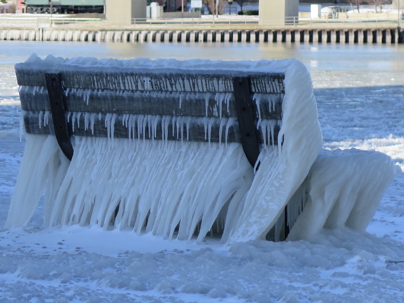 'Burg Birder: Icy Scenes