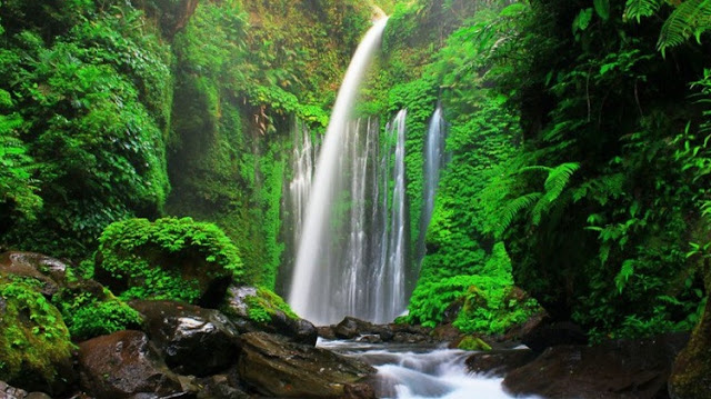 Informasi Rute dan transportasi menuju Desa Budaya Senaru Lombok Utara, NTB