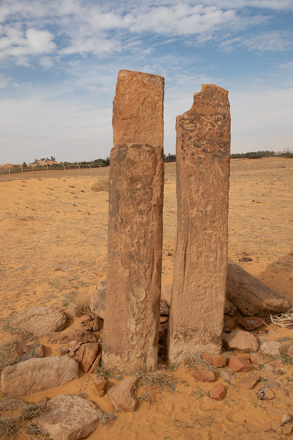 Birds of Saudi Arabia: Ranjajil Columns - Sakaka