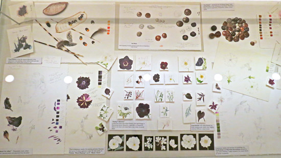 MAKING A MARK: 'Black and White in Colour' at Kew Gardens - a review