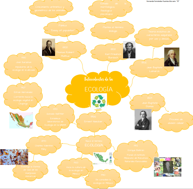 Antecedentes de la ecología como ciencia