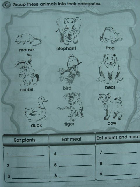 SCIENCE YEAR 2: Worksheets