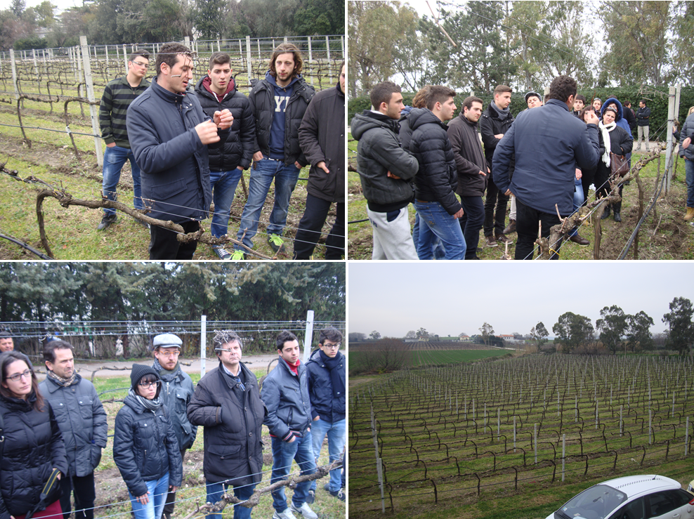 MoliSeb Wine & Food Blog: DI MAJO NORANTE: IL MOLISE DIVINO CHE FA SCUOLA