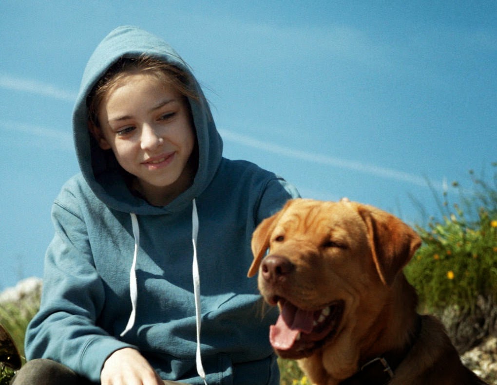 White God 2014 Fehér Isten