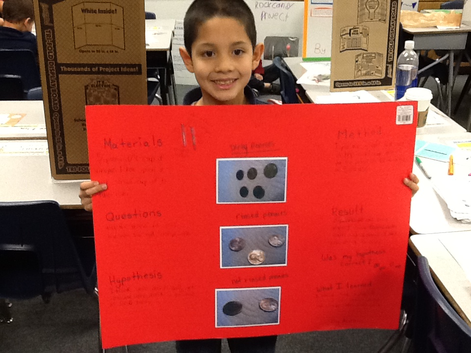 Ms. Reeve's Second Grade: Science Fair Projects
