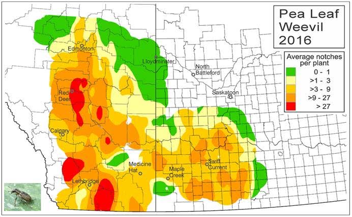 Prairie Pest Monitoring Network Blog: Winter Update (Oct 2, 2017; Wk 22 ...