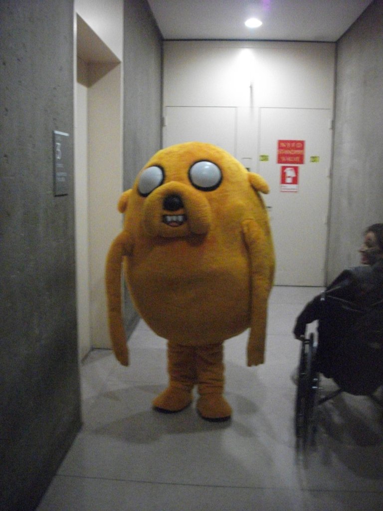 Adventure Time Time: AT Cosplay Time: That Jake is Freaky