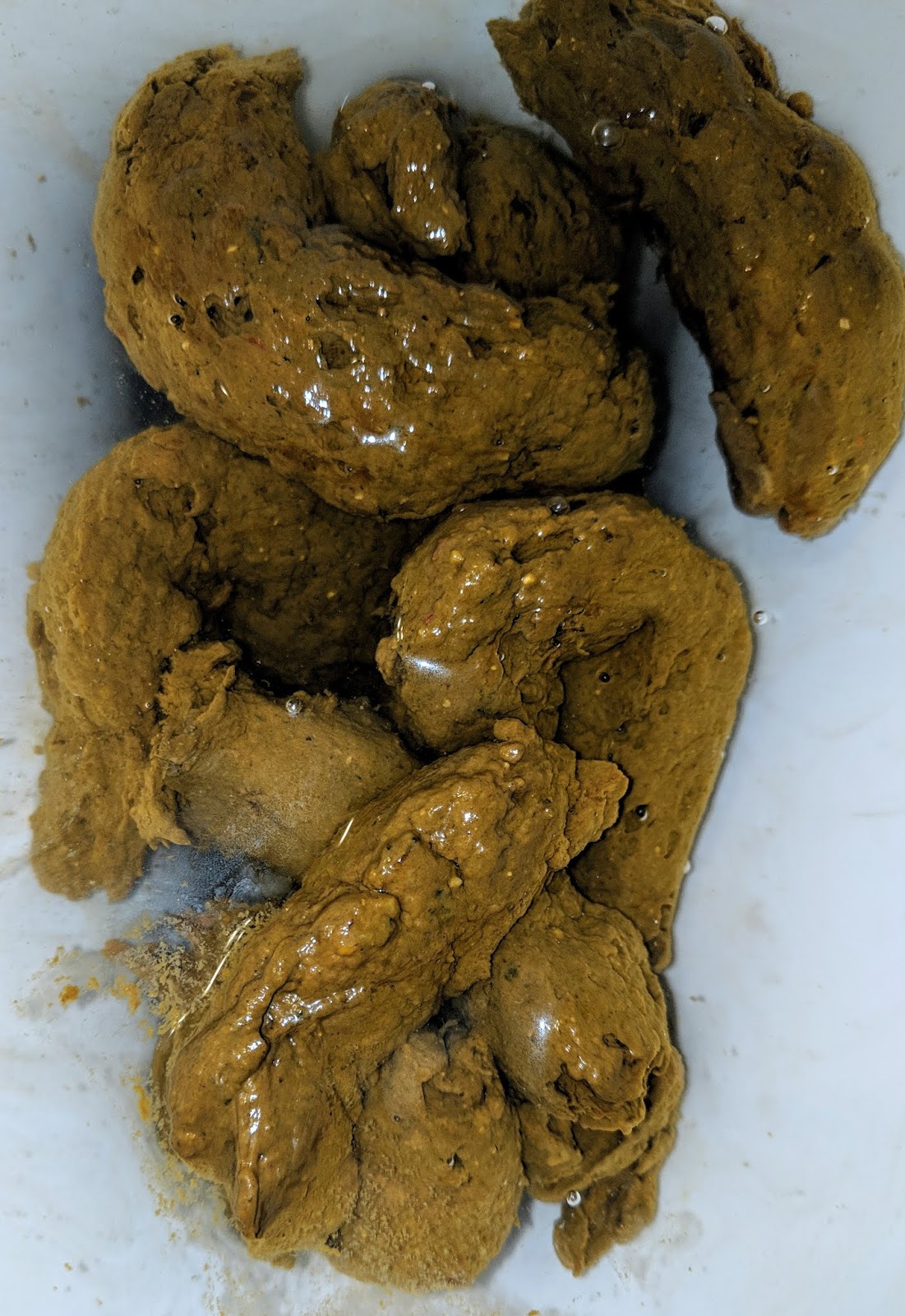 My Daily Poo: April 2019