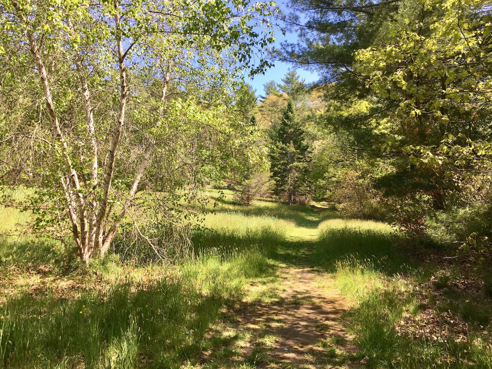 Nature: Nature Walks in Marshfield: 18 Places to Explore