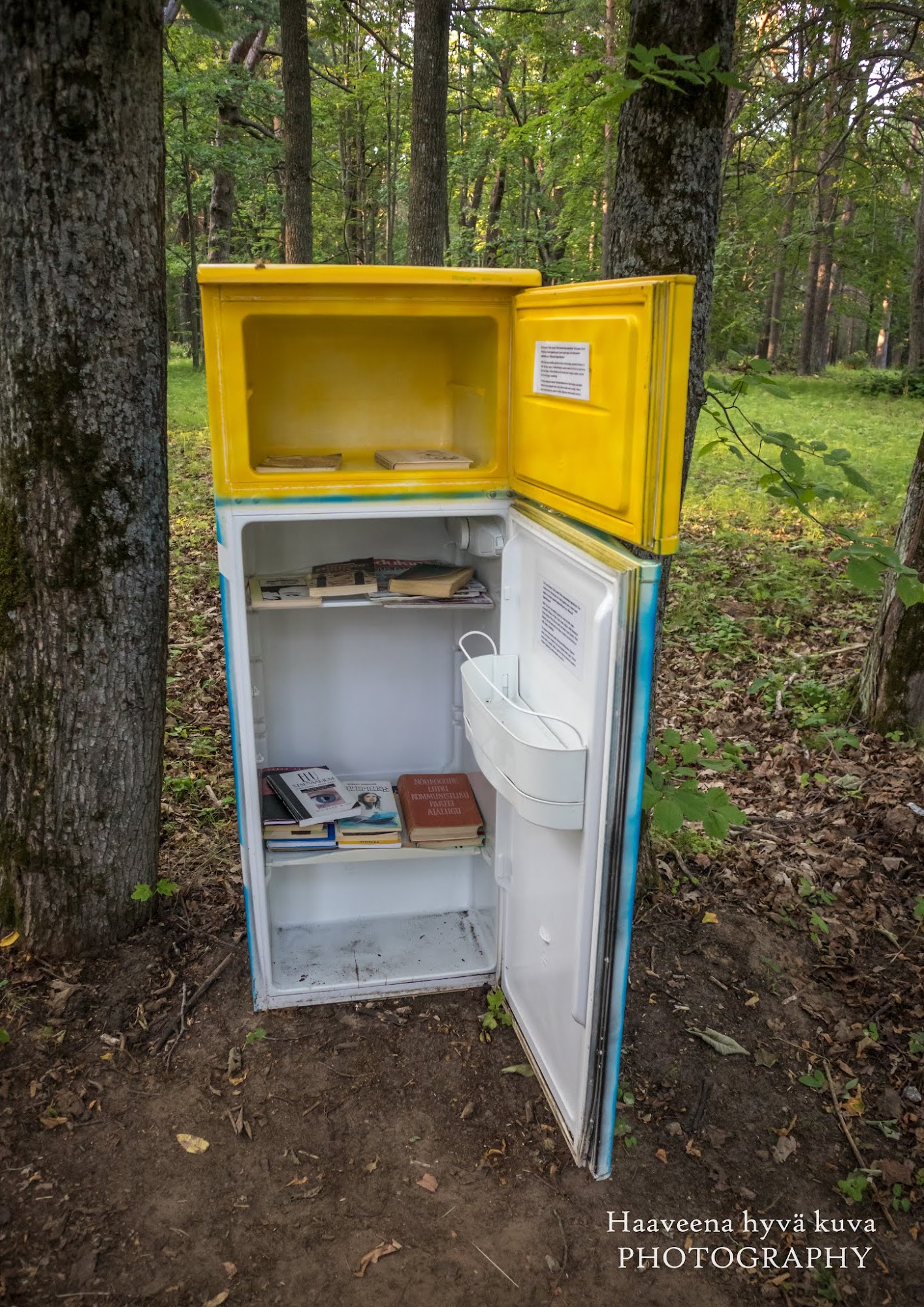 Haaveena hyvä kuva: Oru park Toila - Viro