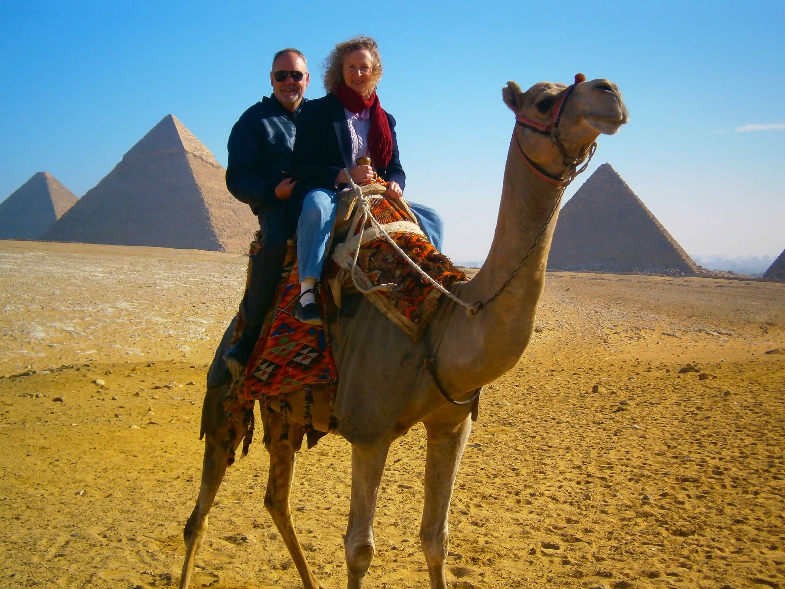 Season's from my window: To ride - camels or elephants