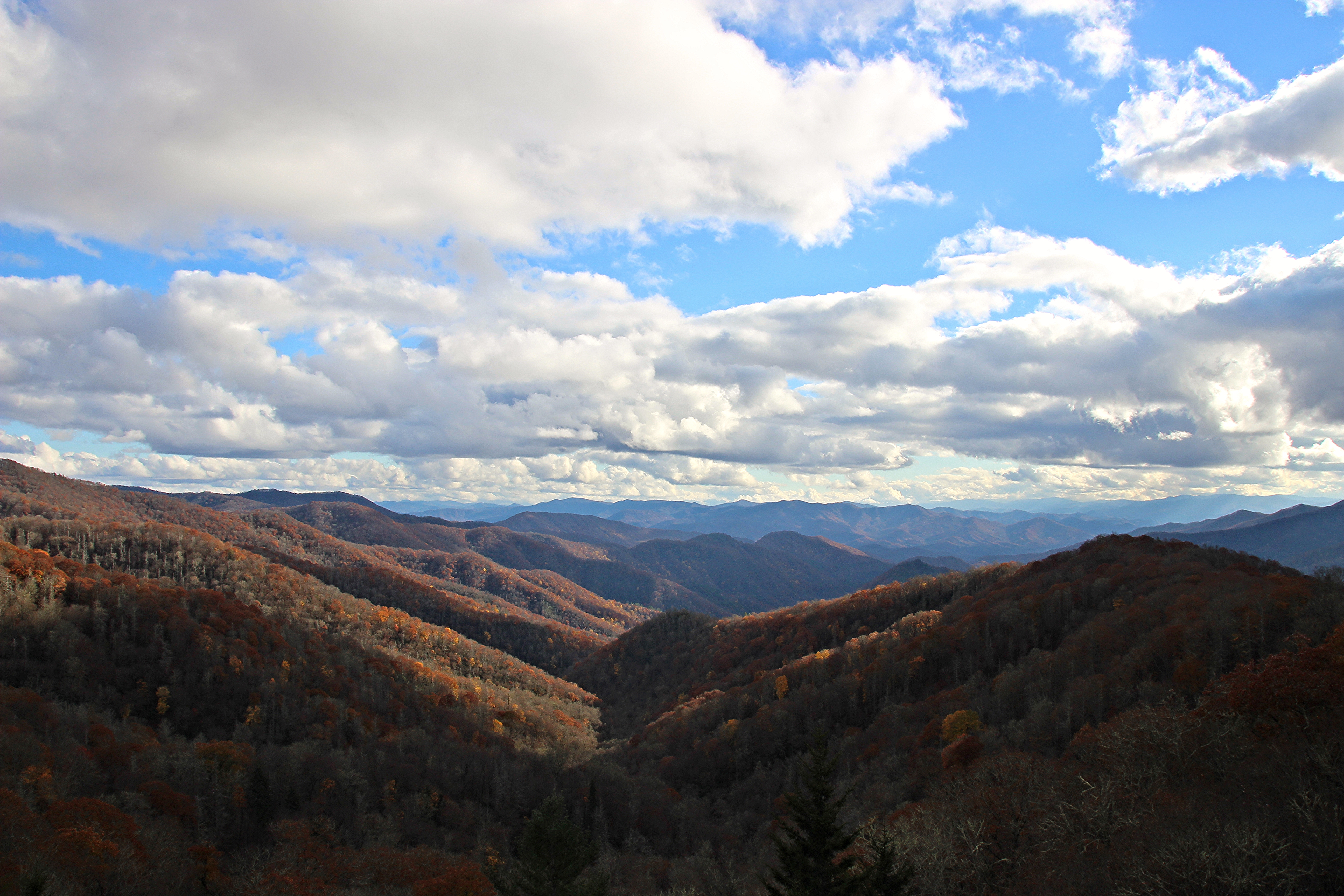 To Behold the Beauty: Mountain Views & More from the Smokies