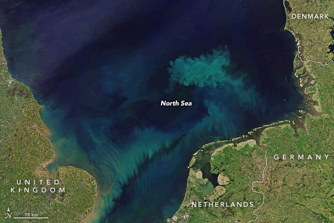 Spring flowering in the North Sea on a satellite photo