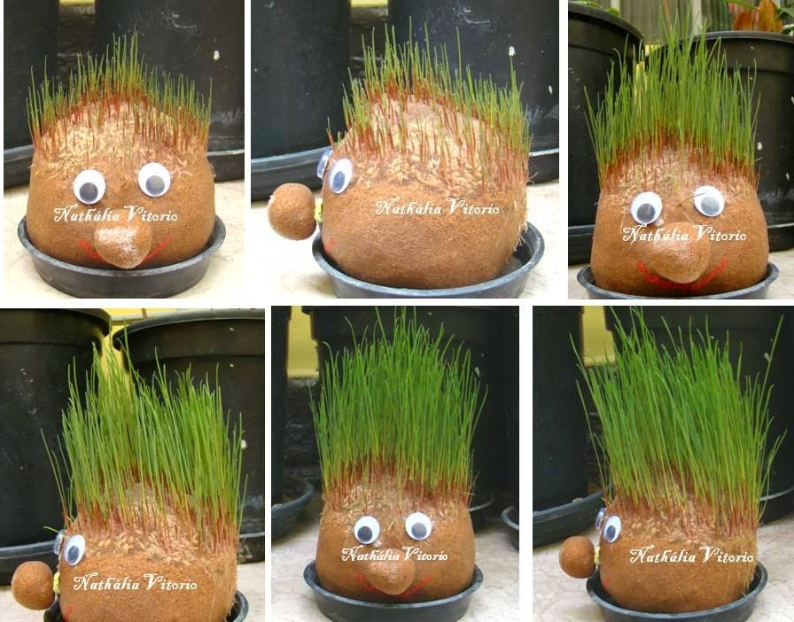 Dividindo ciência: EXPERIMENTO: Como criar um Boneco Ecológico?