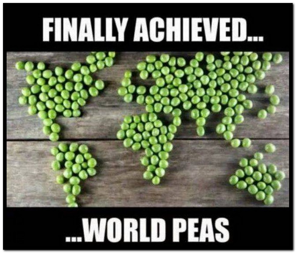 Puns and word play - 100 images