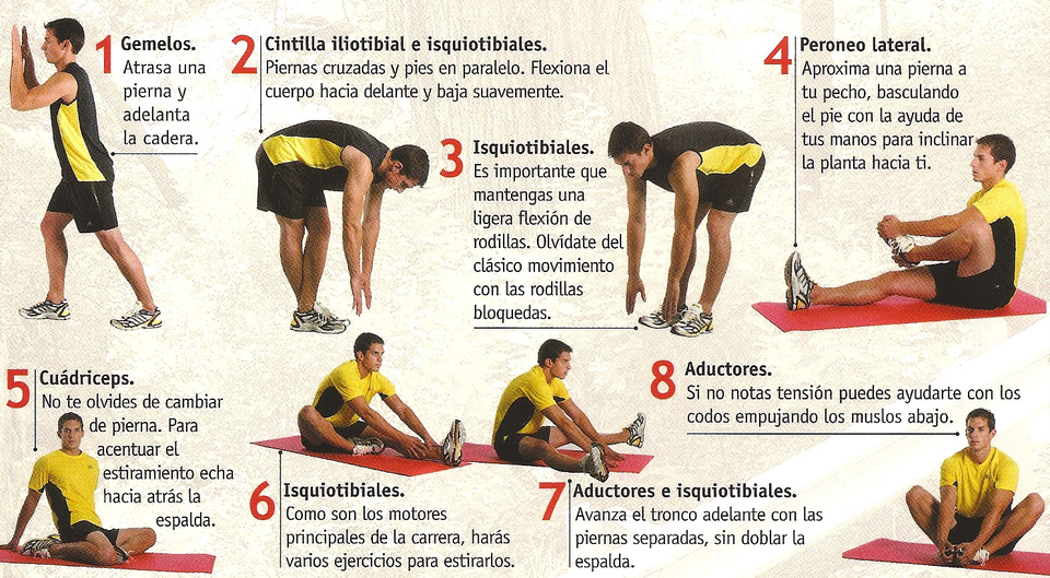 Escuela 91 D.E. 6 "Dr. Carlos Saavedra Lamas": Ed. Física Prof ...